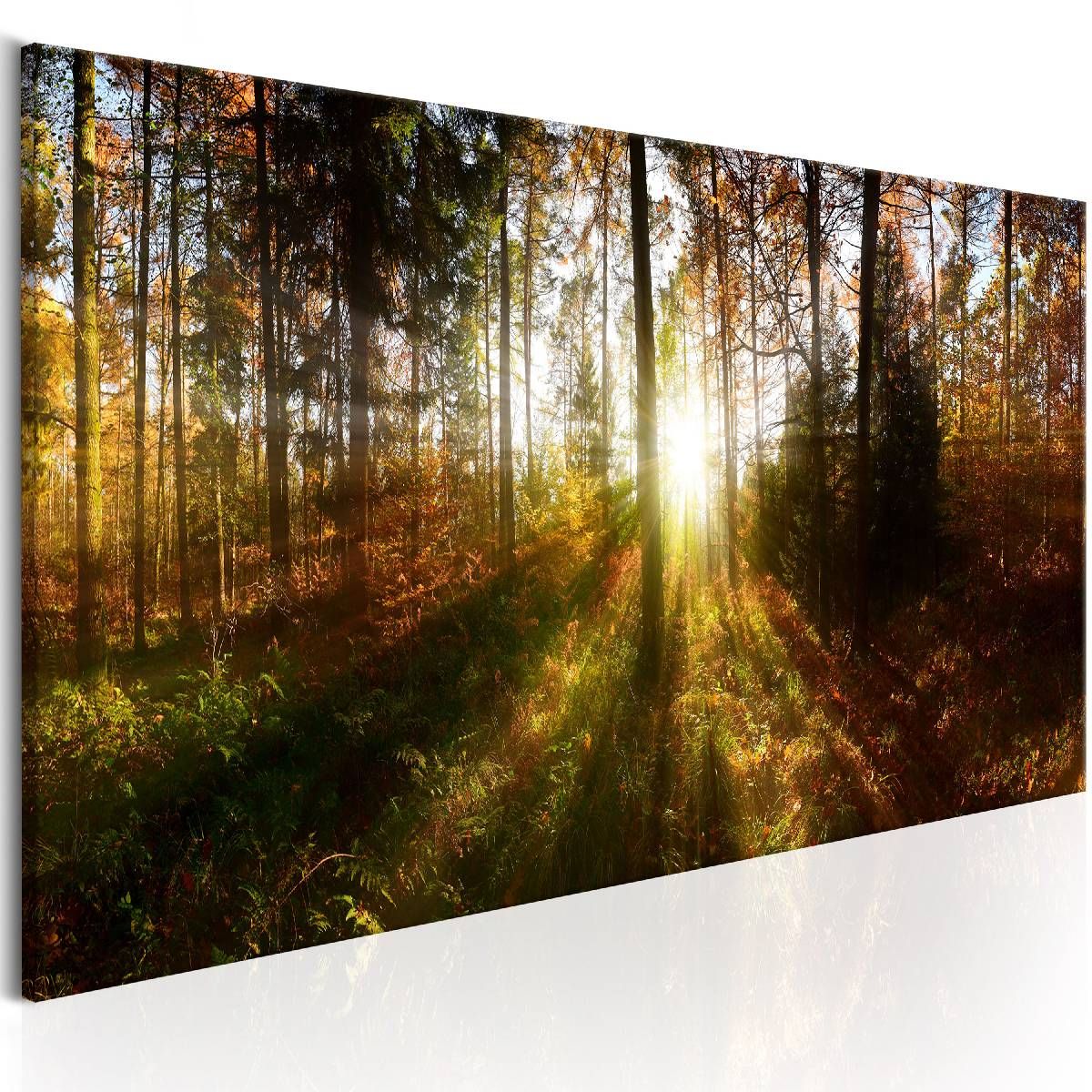 Canvas-taulu Artgeist Beautiful Forest , eri kokoja | Taloon.com