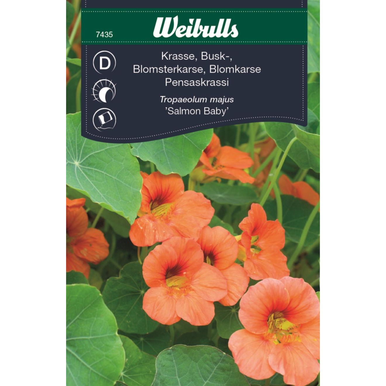 Krassi Weibulls lohenvärinen pensaskrassi siemenet | Taloon.com