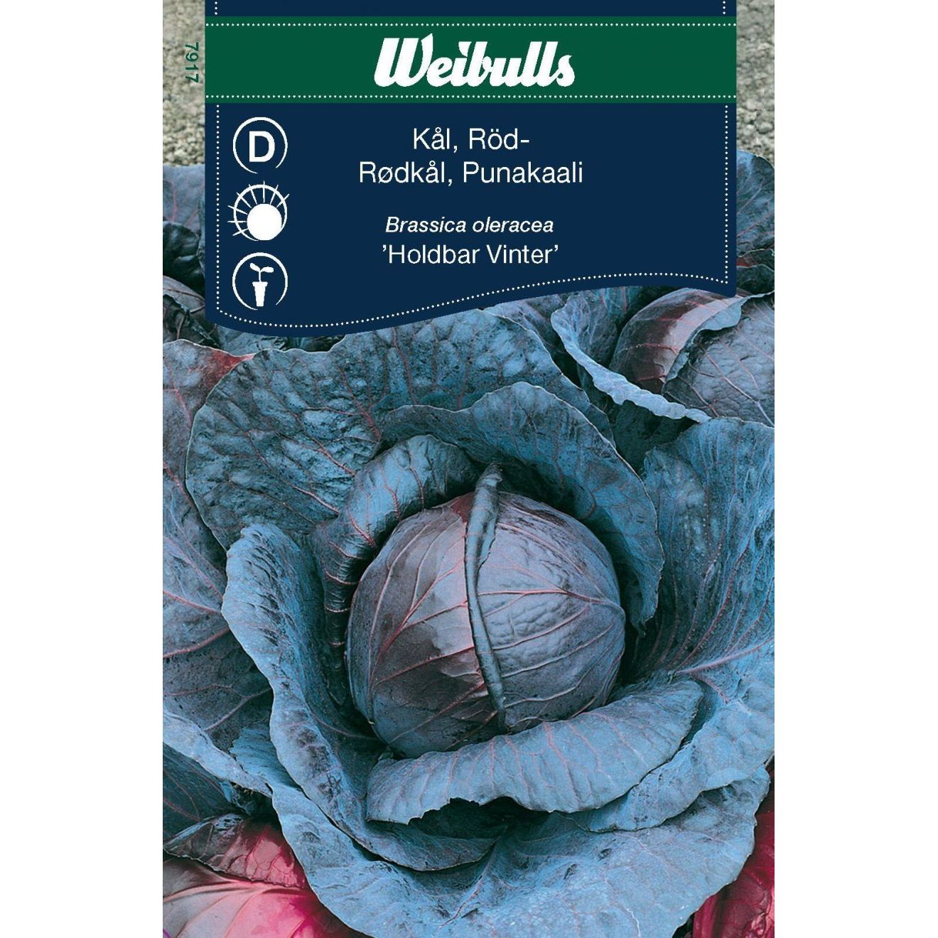 Kaalinsiemenet Weibulls punakaali | Taloon.com