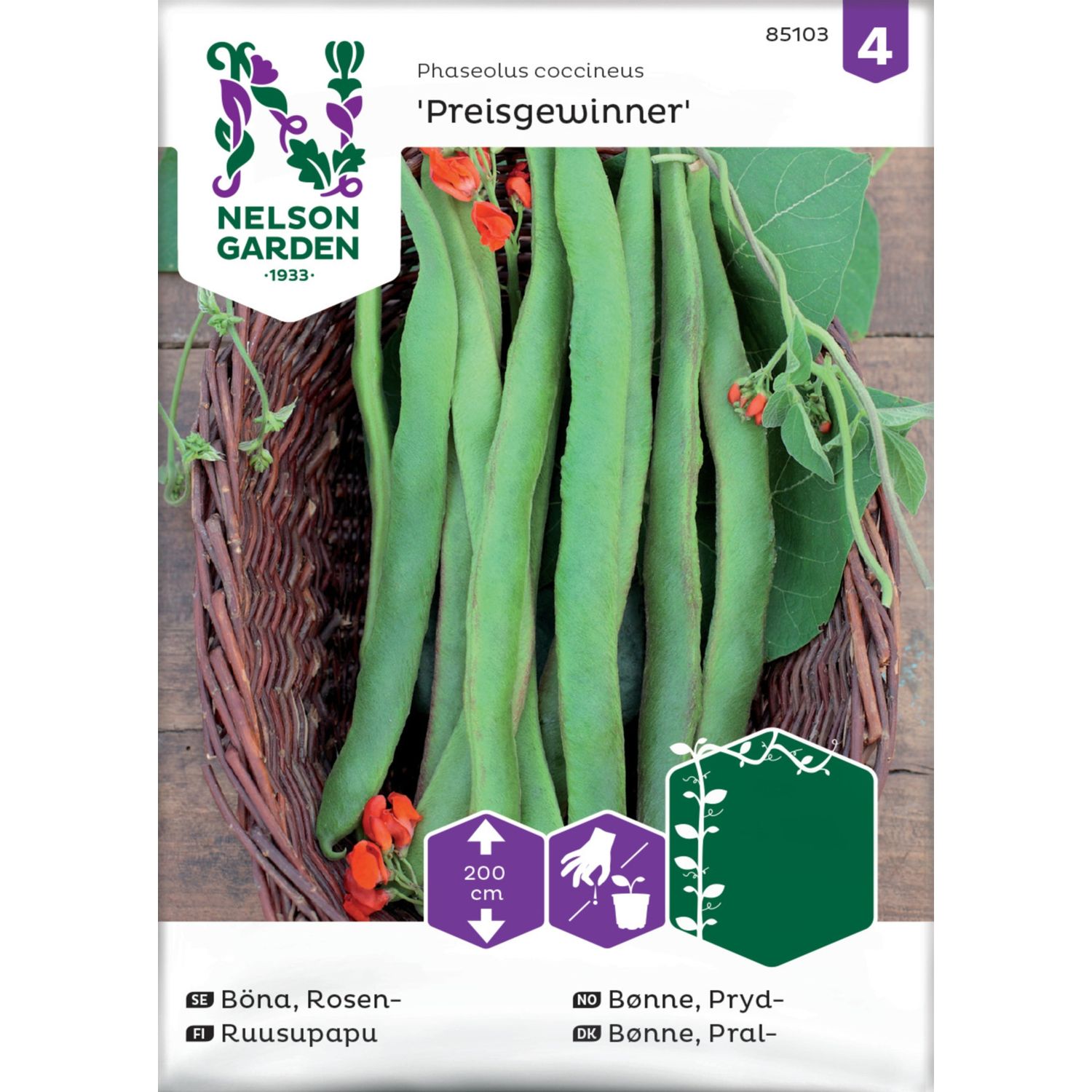 Ruusupapu Nelson Garden Preisgewinner, siemenet | Taloon.com