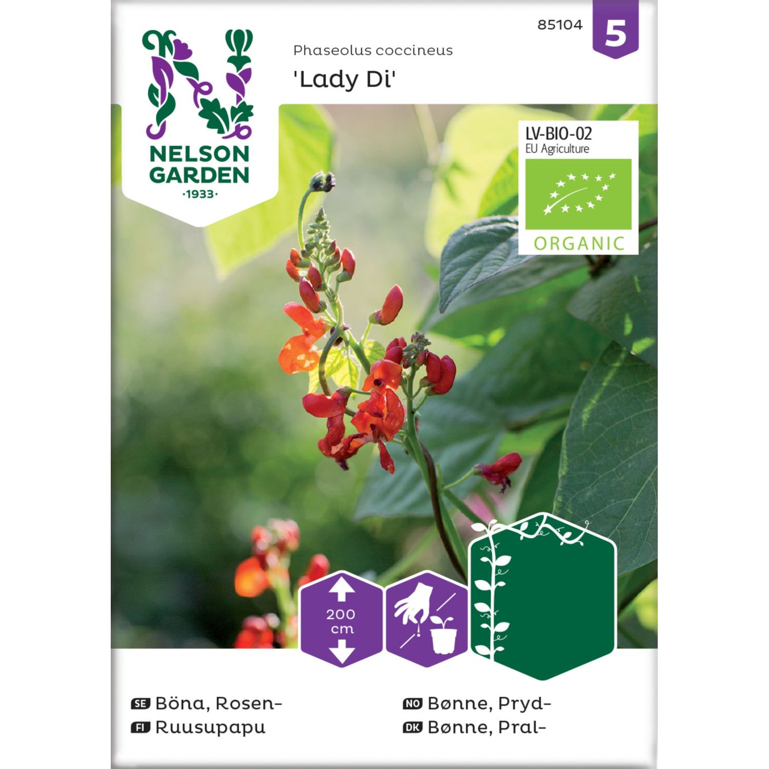 Ruusupapu Nelson Garden Lady Di Organic, siemenet