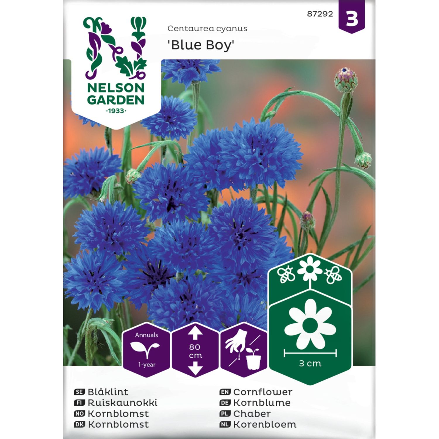 Ruiskaunokki Nelson Garden Blue Boy, siemenet
