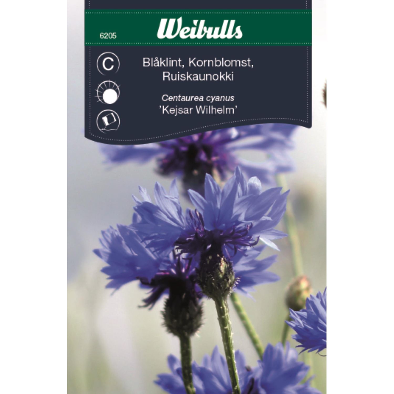 Ruiskaunokki Weibulls siemenet | Taloon.com