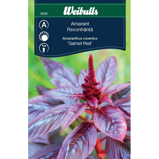 Amarantti Weibulls 'Garnet Red' siemenet | Taloon.com
