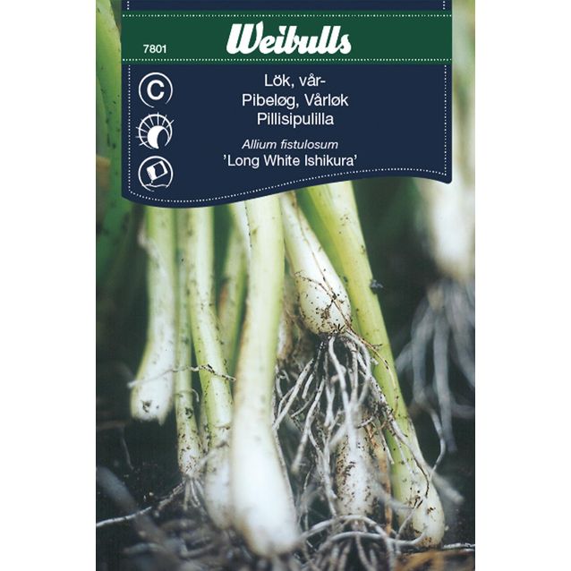 Sipuli Weibulls ruohosipuli/kevätsipuli siemenet | Taloon.com