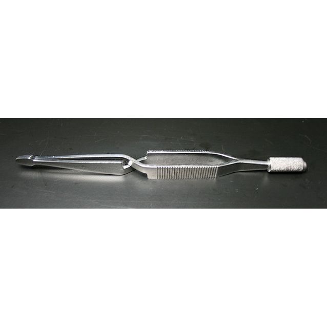 Punkkipihdit Mars | Taloon.com