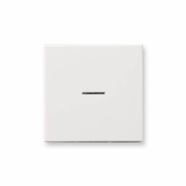 Painike Ensto Intro, 1-osainen, 10A, 250V, IP21, valkoinen | Taloon.com
