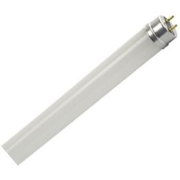 LED-loisteputki Sylvania ToLEDo Superia T5 AC 840, eri kokoja | Taloon.com